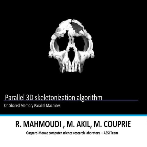 3D skeltonization | PPT