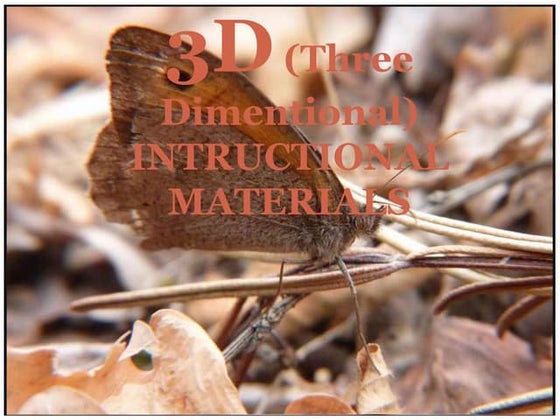 Realia & Model | PPTX