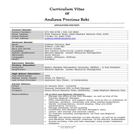 CV - Andiswa P Beki | DOCX