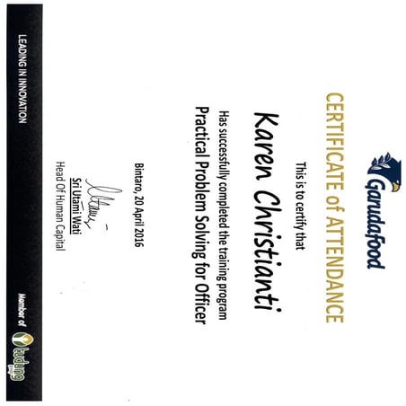 Certificate of Attendance (Practical Problem Solving) | PDF