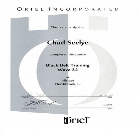 Black Belt Certification - Oriel Inc - Seelye_result | PDF