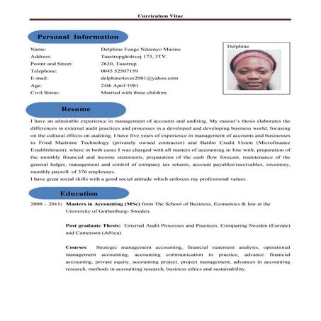 professional CV | PDF | Business Accounting & Finance | Business