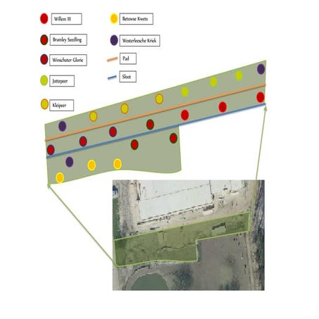 Plantplan | PDF