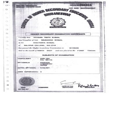 +2 certificate | PDF