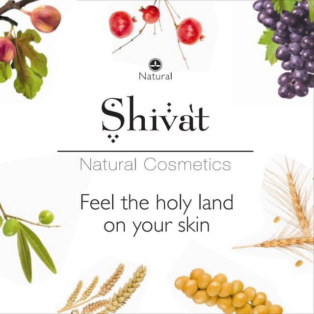 Shivat Brochure_Aidi | PDF