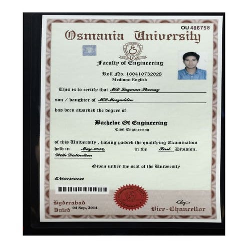 Bachelors Degree | PDF