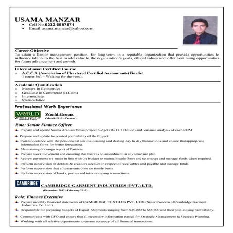 Usama Manzar Resume | PDF
