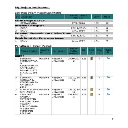 My Projects Involvement | DOCX