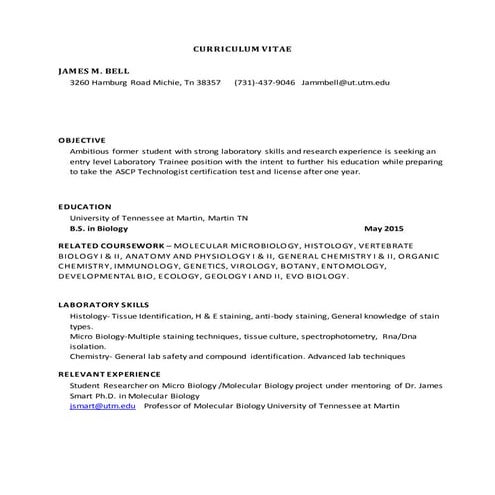 Curriculum vitae 2015 doc | DOCX