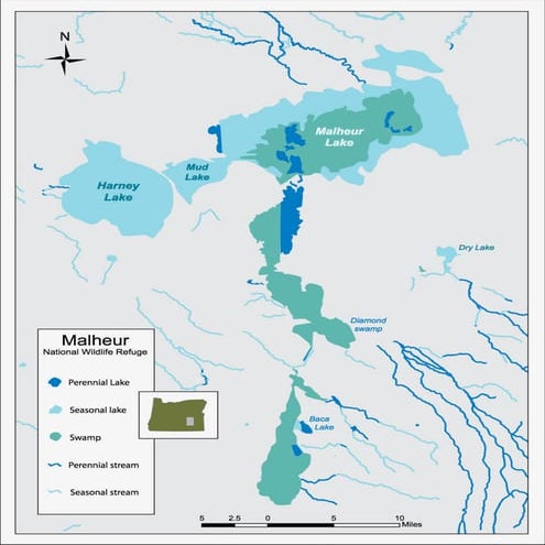 CV Ibrahim Mohamed Anan | PDF