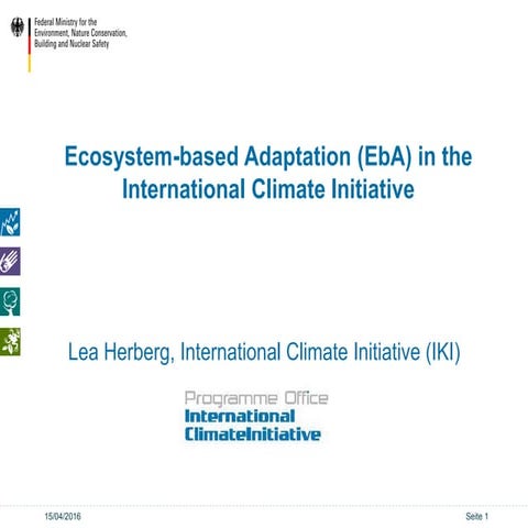 Ecosystem based Adaptation (EbA) in the International Climate ...