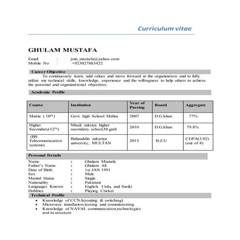 mustafa cv | PDF