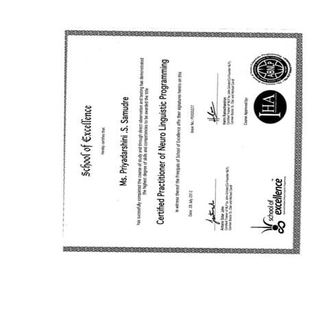 NLP Practitioner | PDF