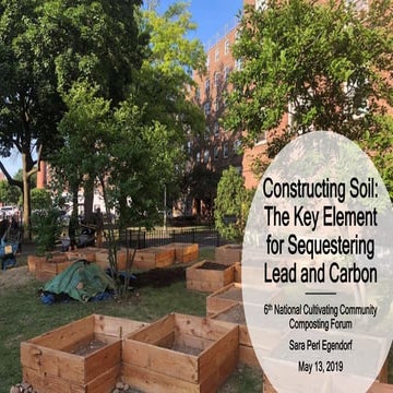 Constructing Soil: The Key Element for Sequestering Lead and Carbon | PPTX
