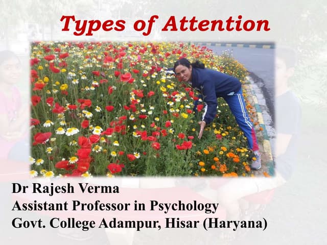 characteristics of attention (English) | PPSX