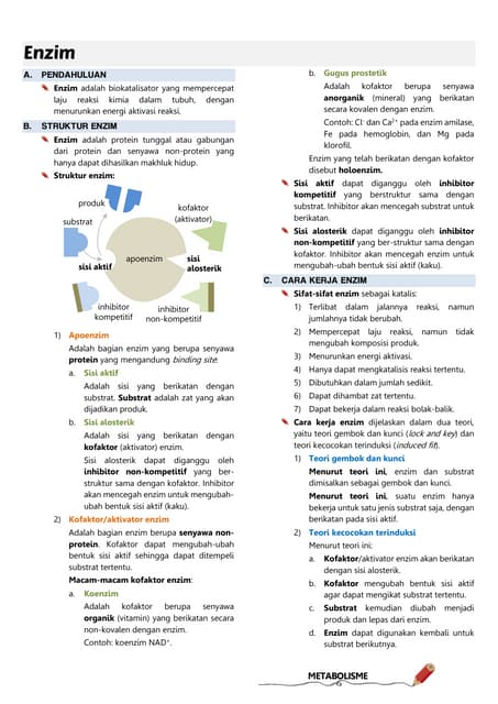 MATERI ENZIM - Biologi Kurikulum Indonesia | PDF