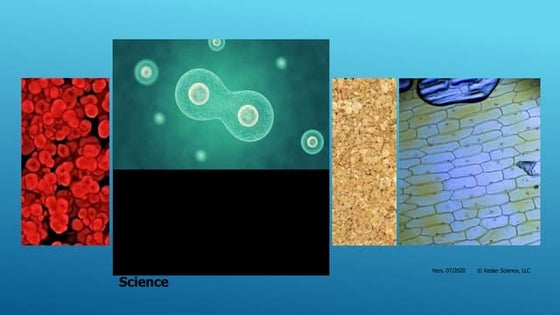 Life Sciences Grade10, Cell Division: Mitosis (and cancer) | PPTX ...