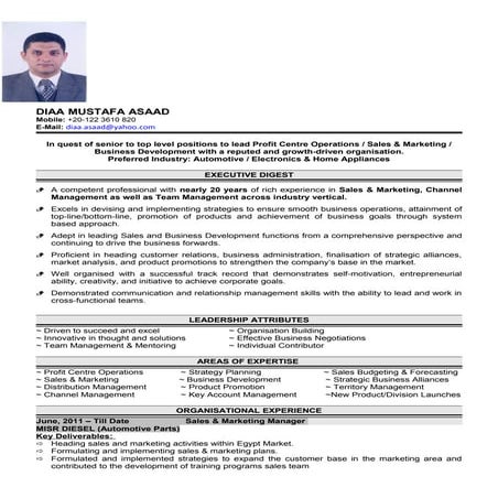 Diaa Asaad Resume | DOC
