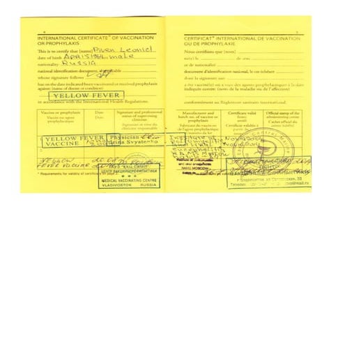 Yellow Fever | PDF