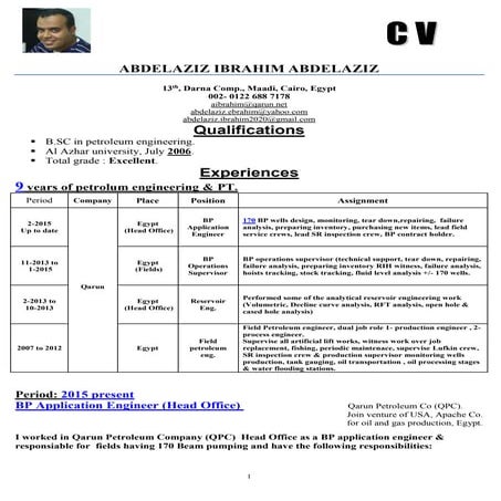Abdelaziz Ibrahim CV Application Engineer | PDF
