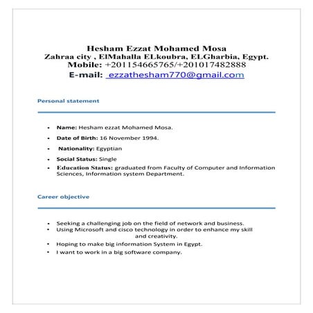 Hesham ezzat cv | PDF