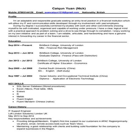 nick's cv | DOC