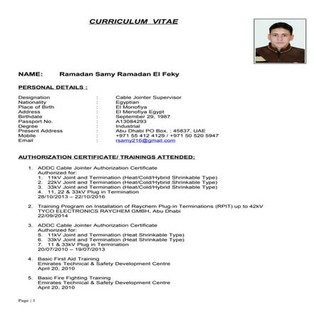 CV - RAMADAN 2016 | PDF