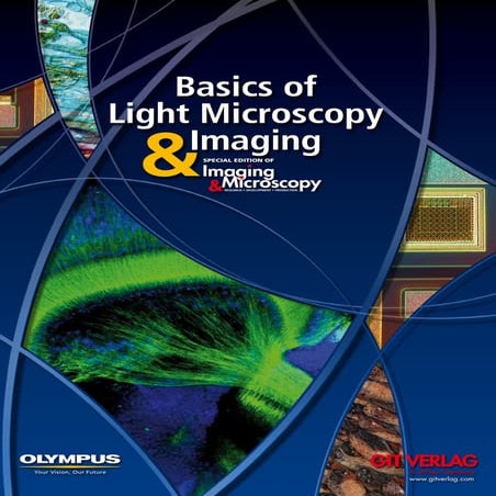 Basics of light microscopy and imaging sonderheft_olympus | PDF