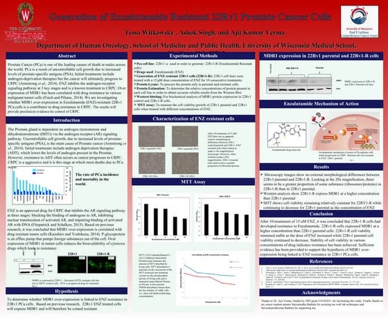 STEP_UP poster test 8 | PPT