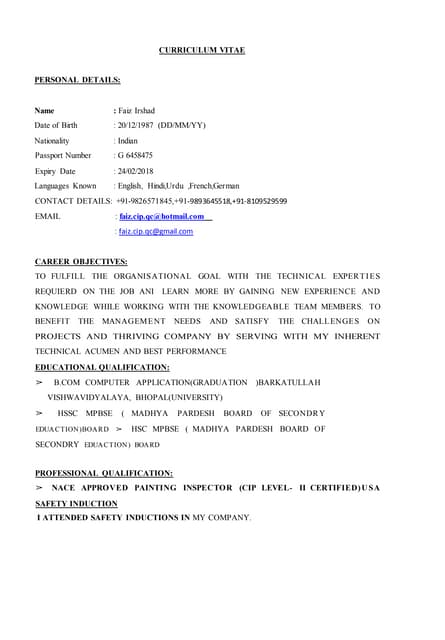 RESUME OF QAQC INSPECTOR COATING/PAINTING AND INSULATION | PDF