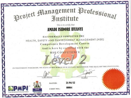 ICRM Professional Postgraduate Diploma Cert. | PDF