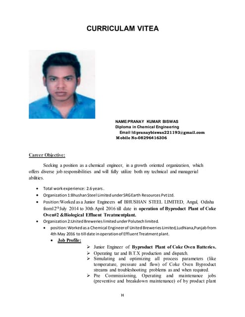 Alamin cv 1 | DOCX | Education