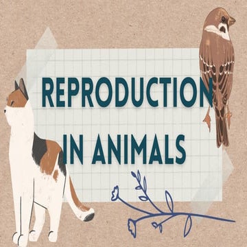 Reproduction in animals | PDF