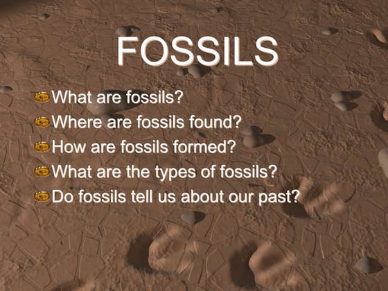 Fossils | PPT | Geology | Science