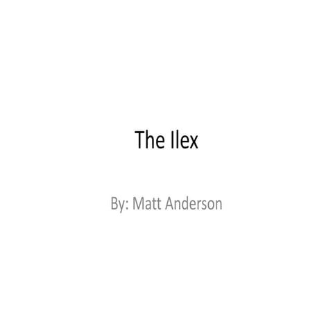 The ilex | PPT