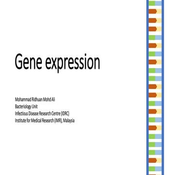 3 Gene expression.pdf
