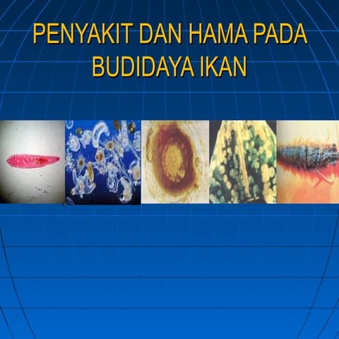 Hama dan penyakit ikan | PPT