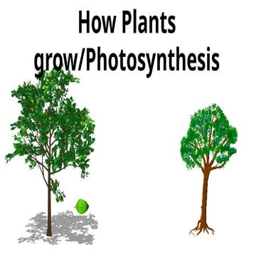 Chapter 7 Nutrition in Plants Lesson 3 - Experiments testing for ...