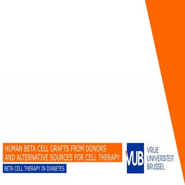 Human beta cell grafts from donors and donors alternative sources for ...