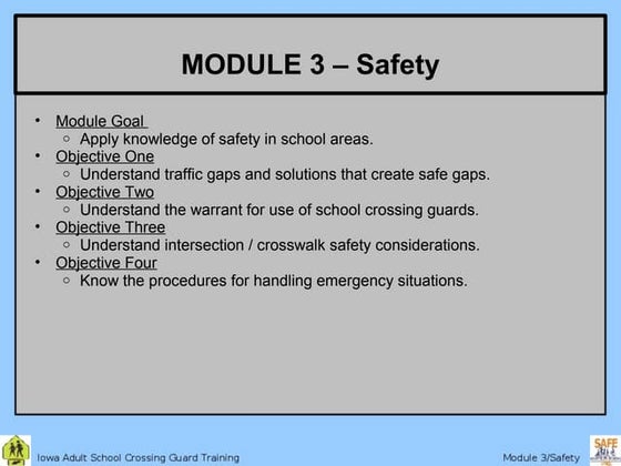 Crossing Guard 4 Roles | PPT