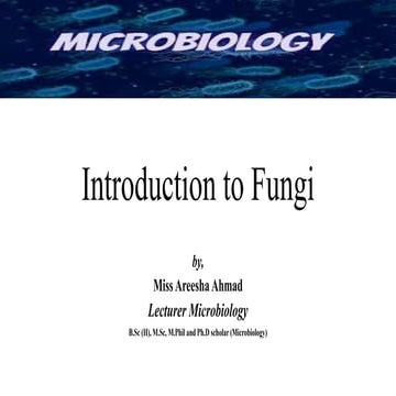 Introduction to Fungi | PPTX