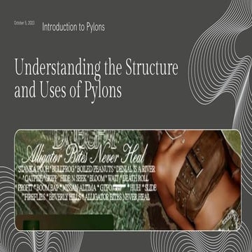 Pylons differ from the other engineering systems | PDF