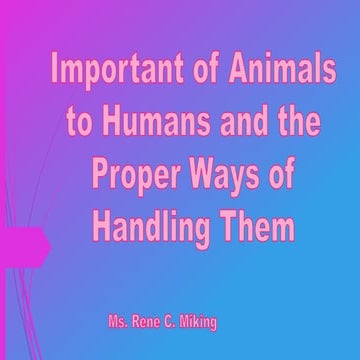 Needs of Animals | PPTX