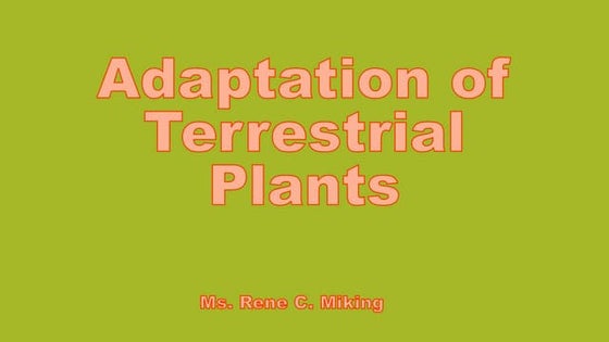 Sciophytes | PPTX | Gardening | Home & Garden