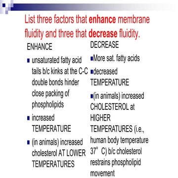 3 List of factors affecting membrane fluidity.pptx
