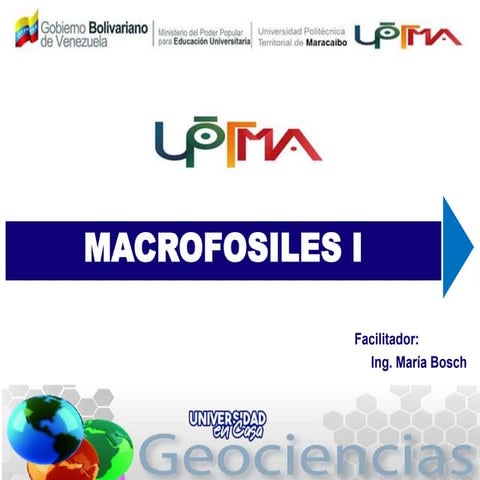 Macrofósiles parte I | PPSX
