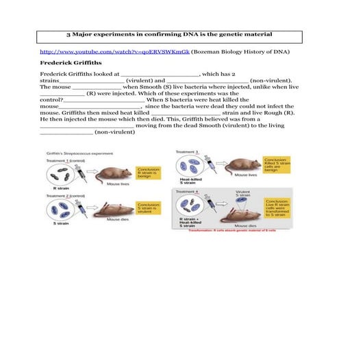 3 major experiments in confirming dna is the genetic material | PDF