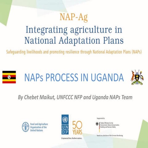 NAP Process in Uganda | PPT