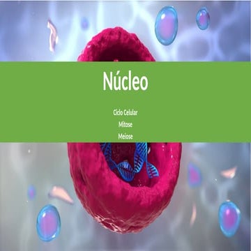 Núcleo - Ciclo Celular e Divisão Celular.pptx
