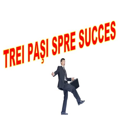 3 pasi spre succes | PPS